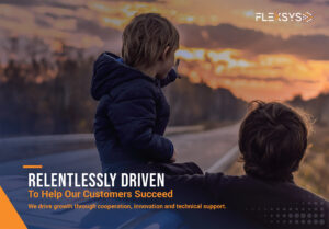 Flexsys | Tire Technology International