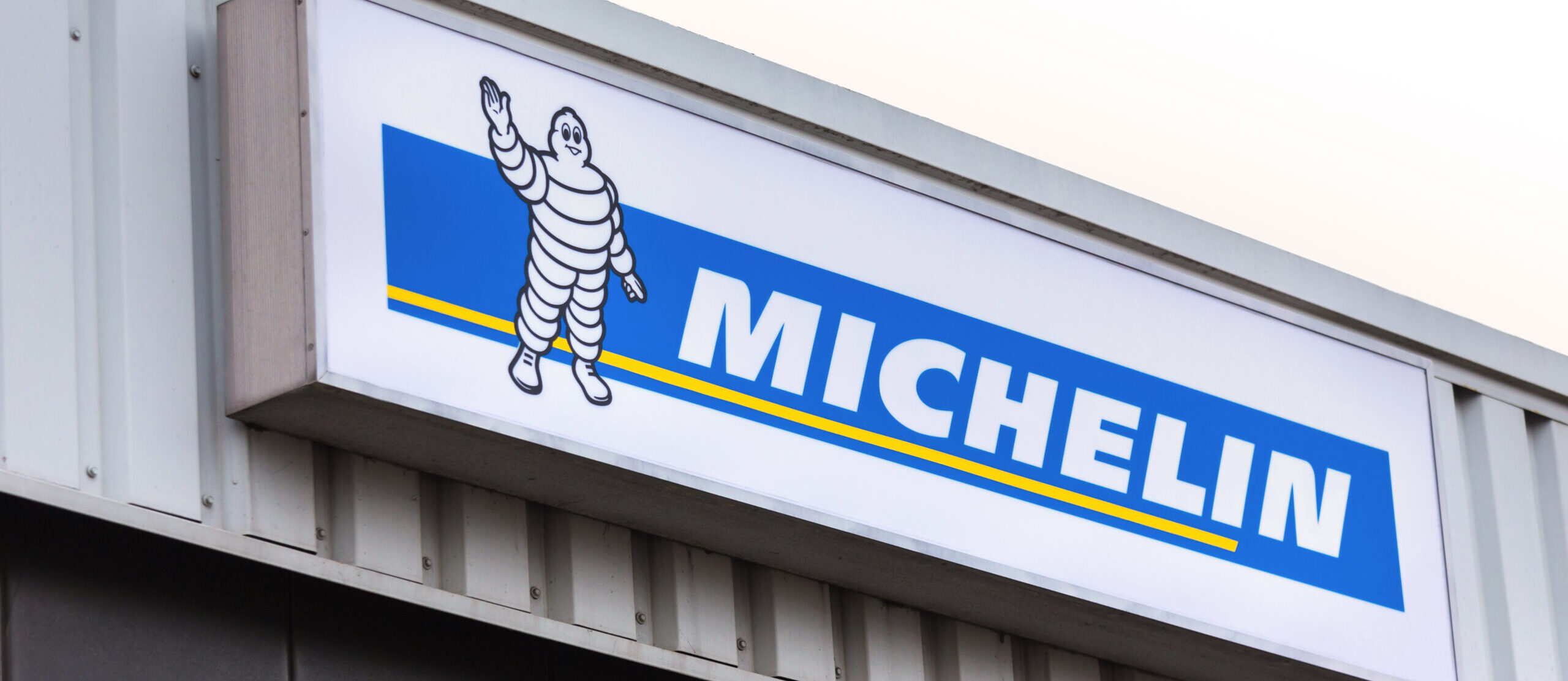 Michelin Tire Logo Vector